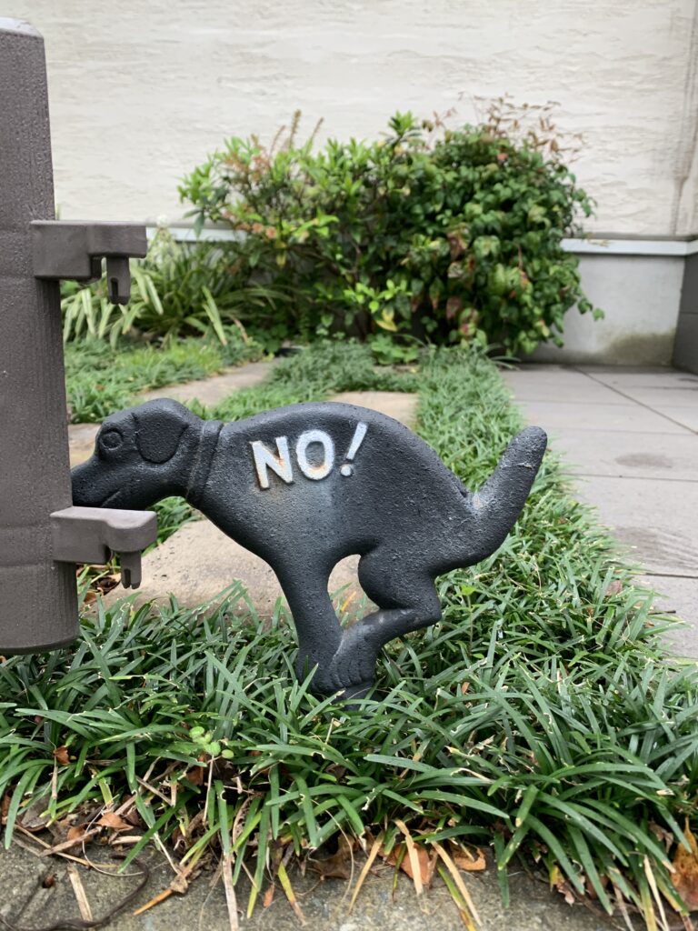 Navigating Tokyo’s Pet Etiquette—The Scoop on Poop - Tokyo Dog Life